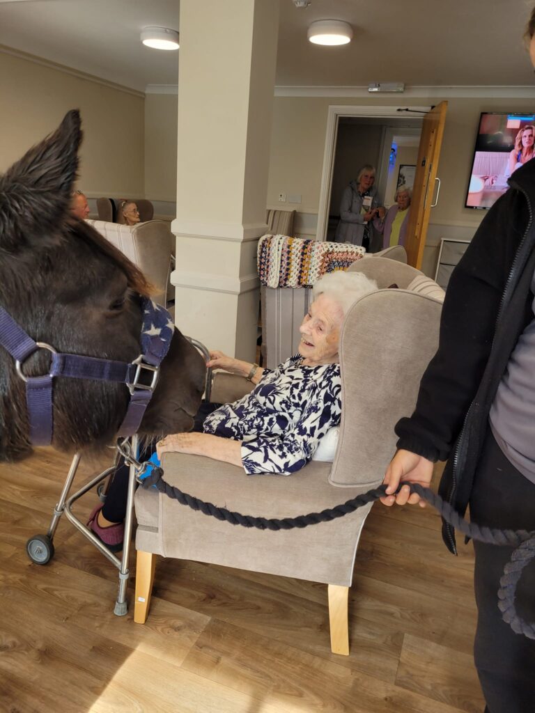 Furry Friend Visit Holywell House Care Centre - Craig Healthcare